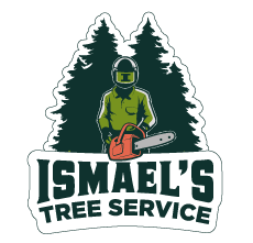 Ismael's landscape and Tree Services in Richmond, VA